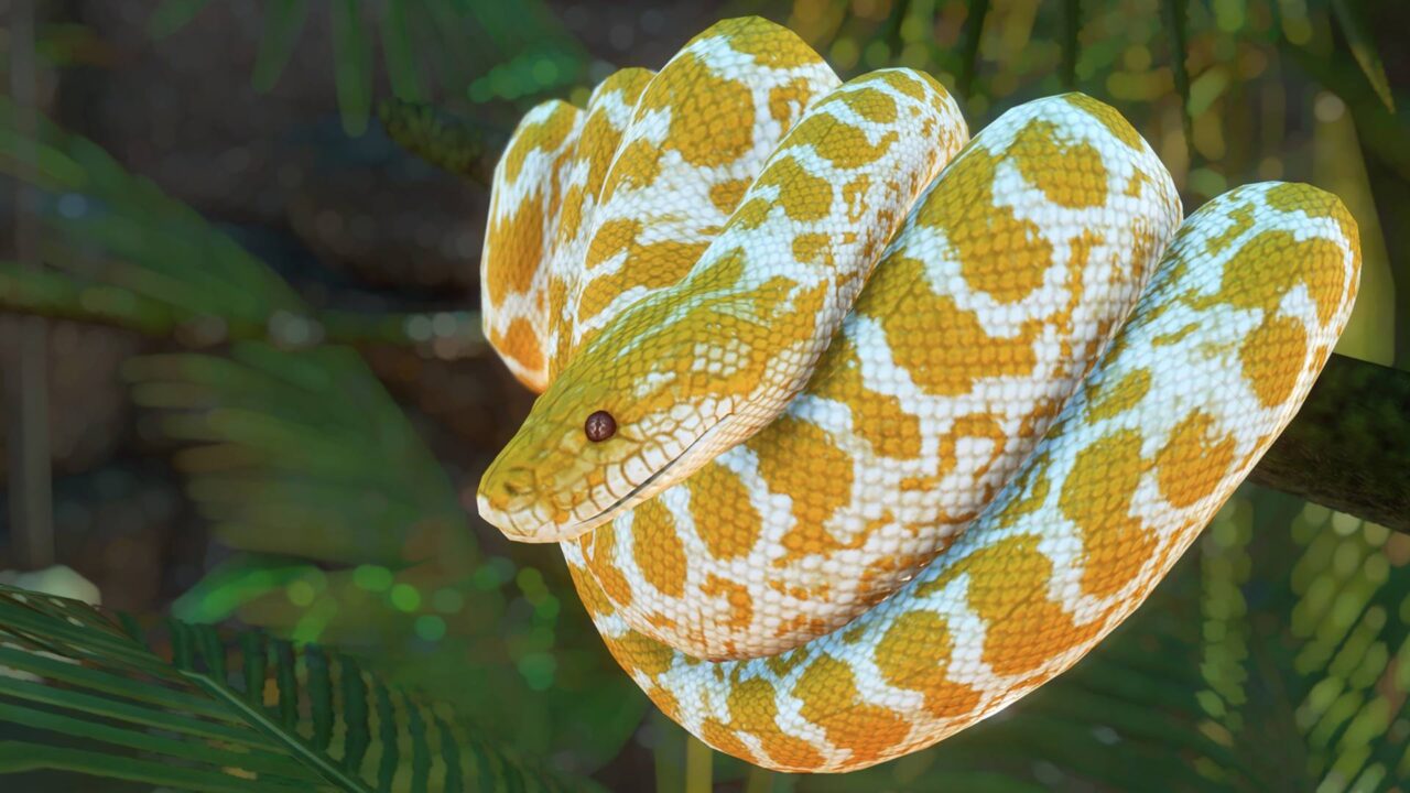 When a snake bites, sometimes traditional medicine won't do the trick